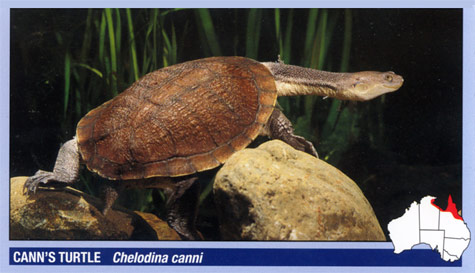 Index of /content/images