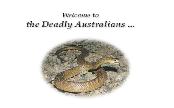 Index of /content/images