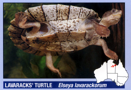 Index of /content/images